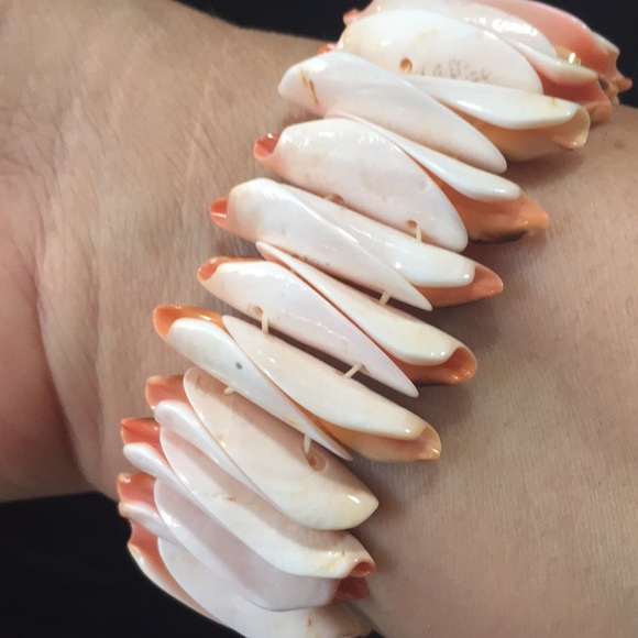 Jewelry | A Seashell Bracelet Beautiful Shells Elastic Band | Poshmark